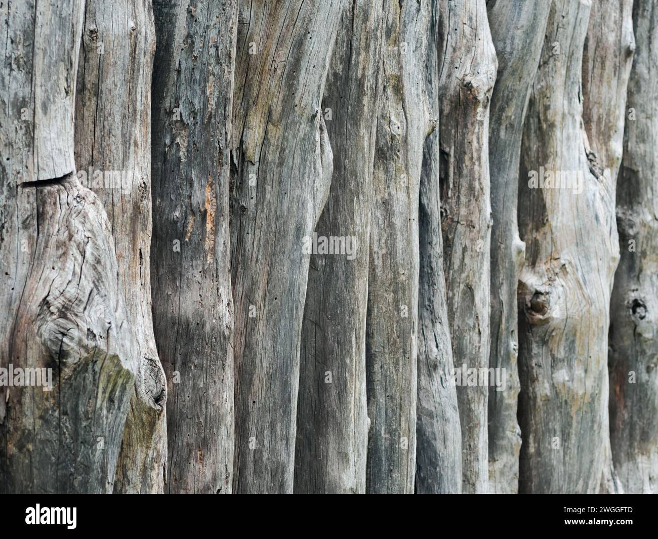 Stockade fort hi-res stock photography and images - Alamy