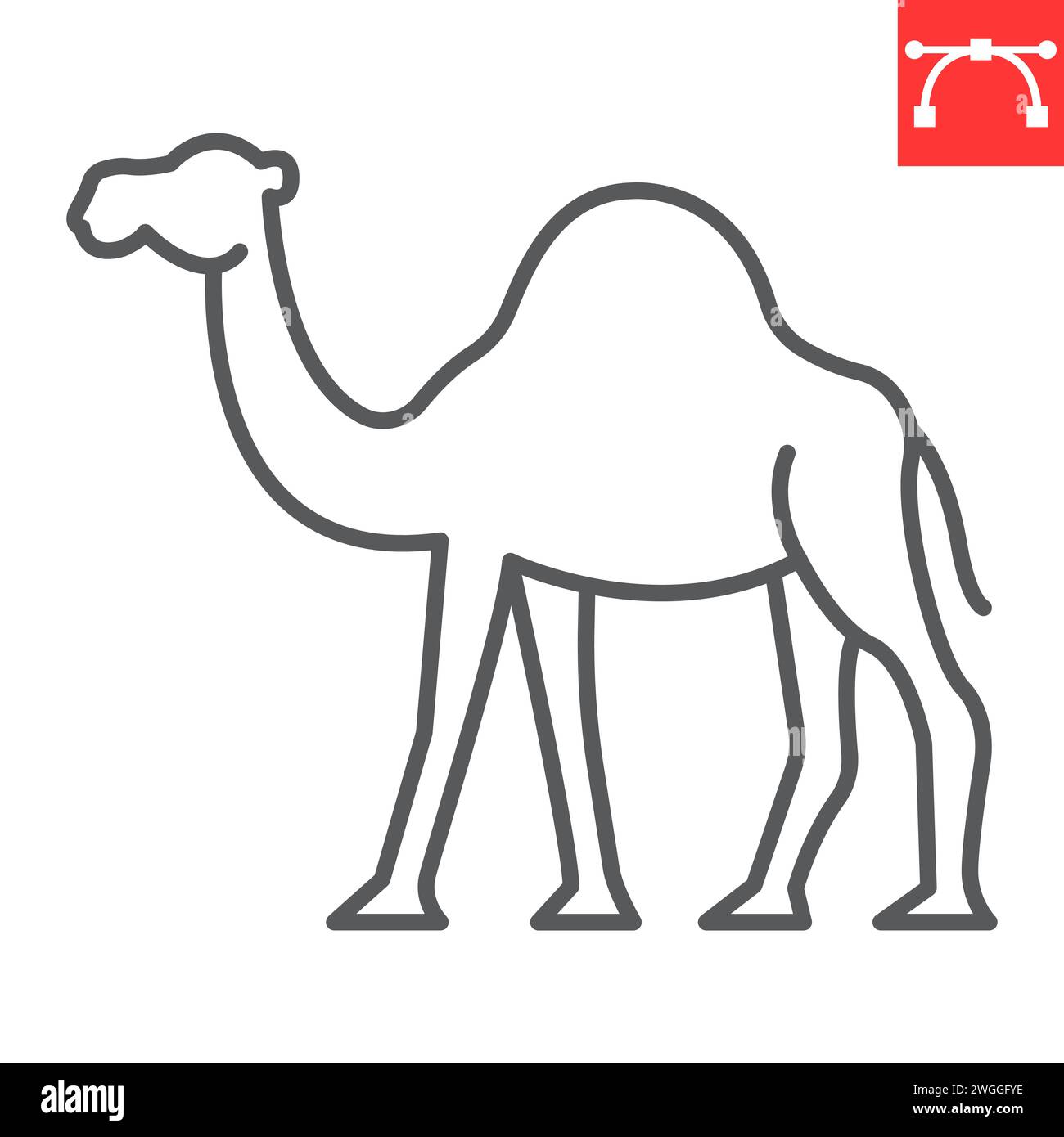 Camel line icon, zoo and animal, Arabian camel vector icon, vector ...