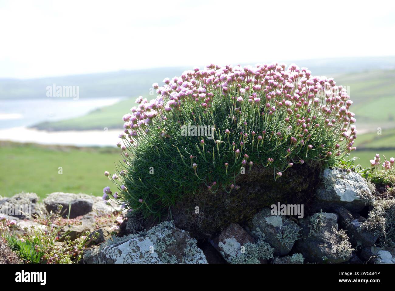 Stepper point tower hi-res stock photography and images - Alamy