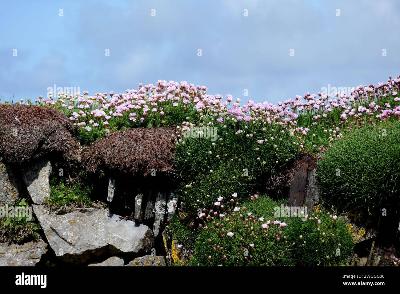 Stepper point tower hi-res stock photography and images - Alamy