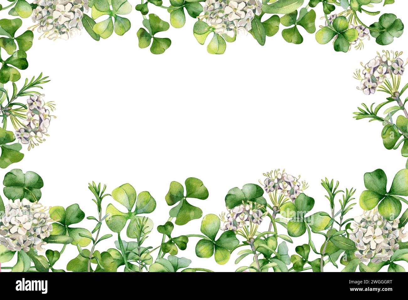 Border with shamrock and spring flowers watercolor illustration ...