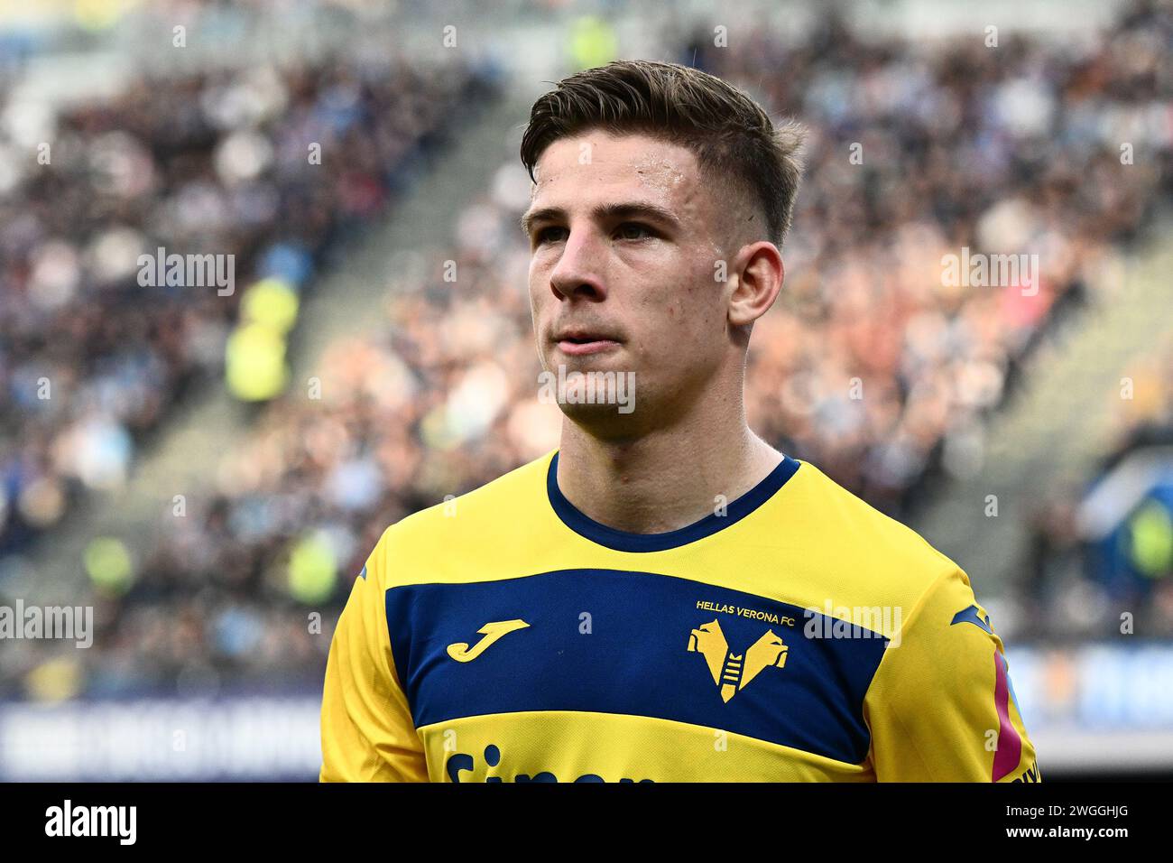 Suslov hi-res stock photography and images - Alamy