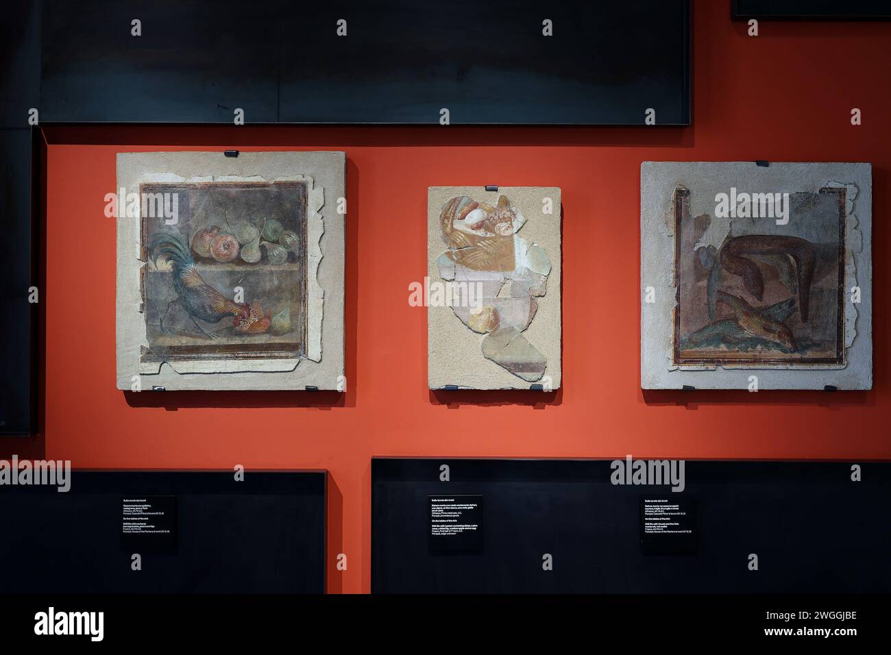 A view of the exhibition The Other Pompeii, inside the archaeological ... A view of the exhibition The Other Pompeii, inside the archaeological ...
