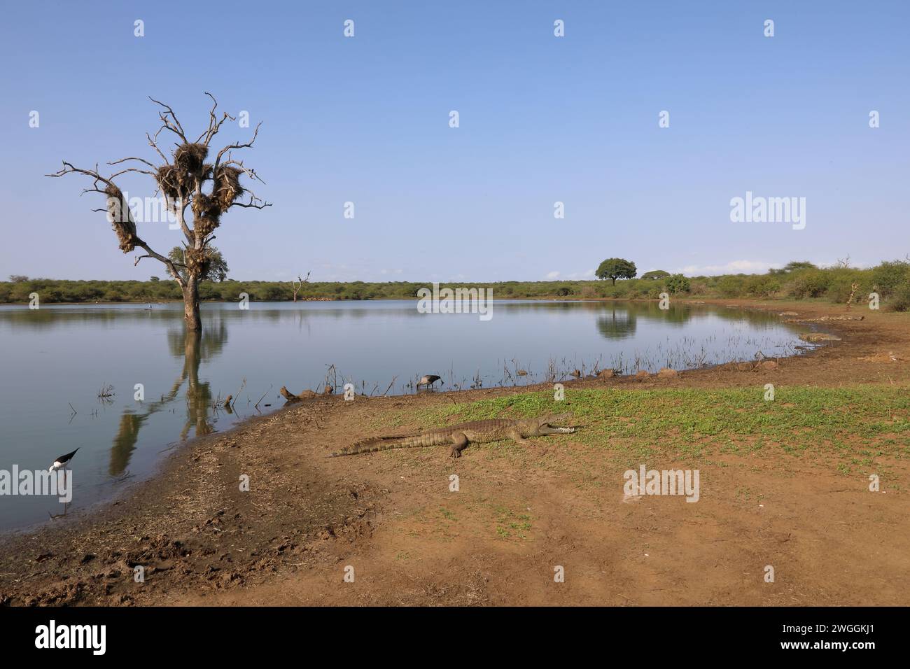 Afrikanischer Busch - Krügerpark - Sunset Dam / African Bush - Kruger ...