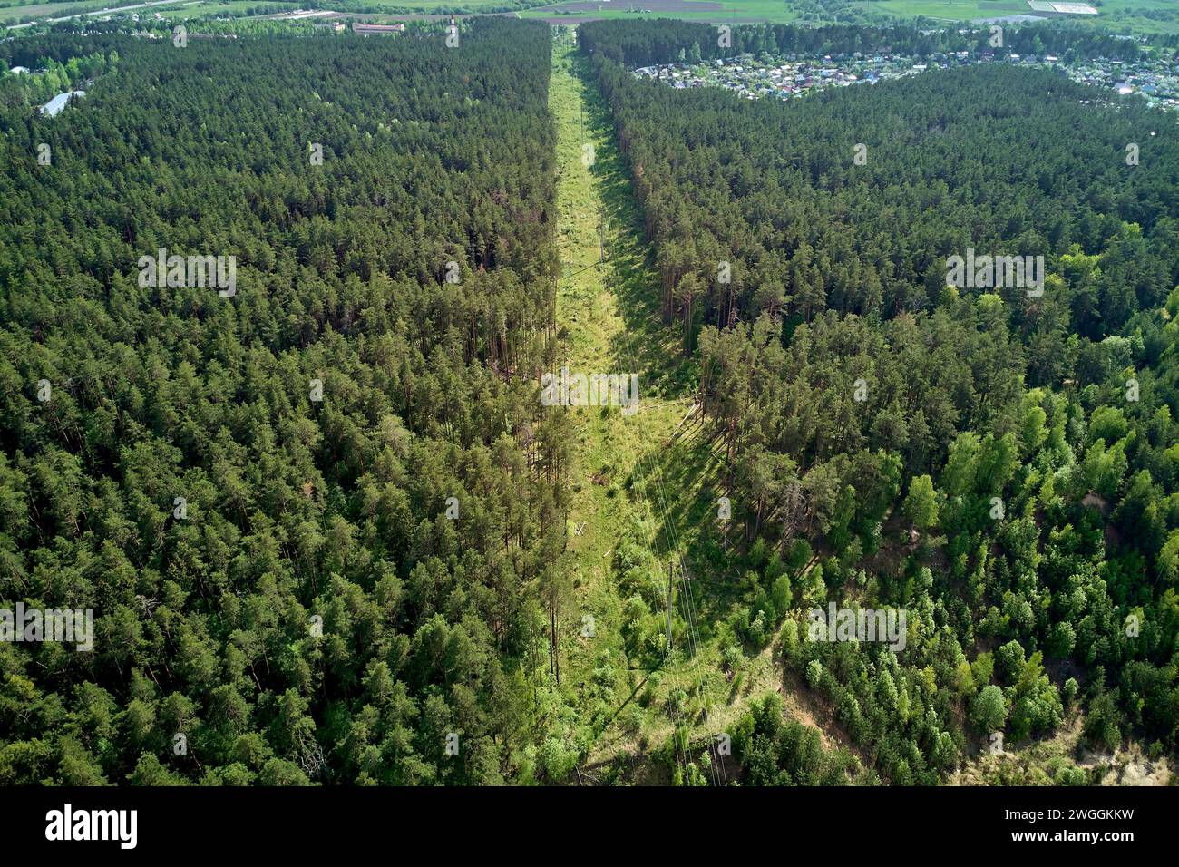 Aerial view of a clearing in the forest under a high-voltage power line ...