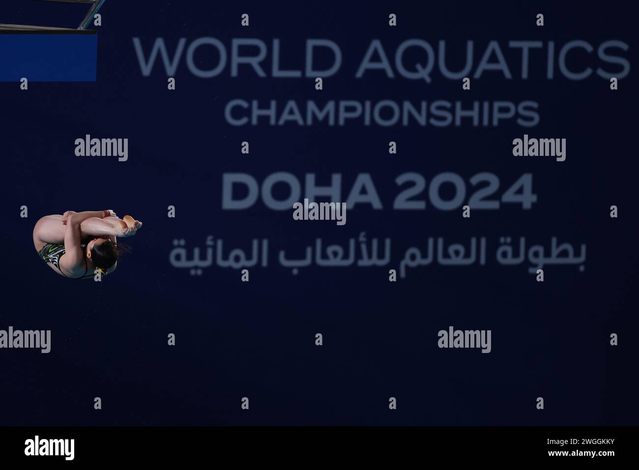 Doha, Qatar. 5th Feb, 2024. Rin Kaneto (JPN) Diving : World Aquatics ...