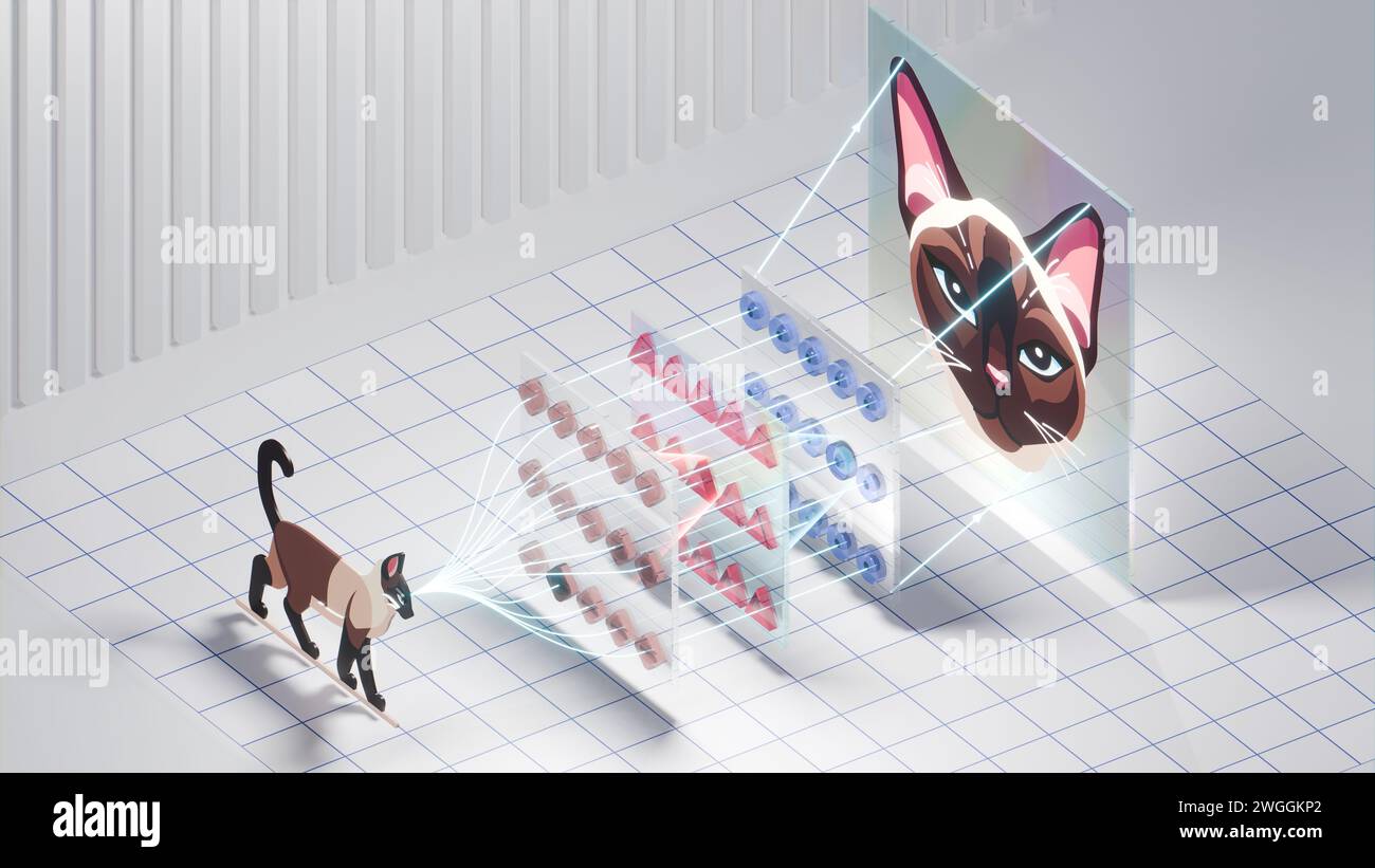 Cat and Neural Network: Visualization of Image Recognition Process, 3D ... Cat and Neural Network: Visualization of Image Recognition Process, 3D ...