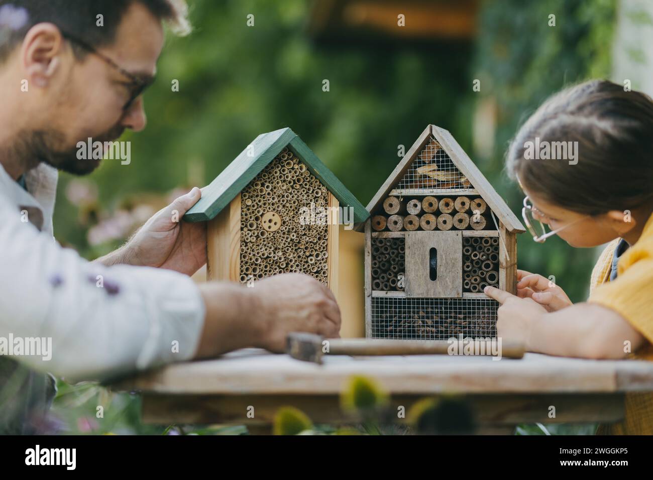 Father with daughter making bug hotel, or insect house outdoors in the ...