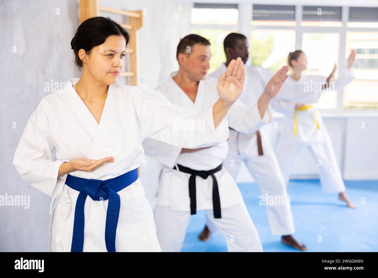 Group of multiethnic people training karate techniques Stock Photo - Alamy