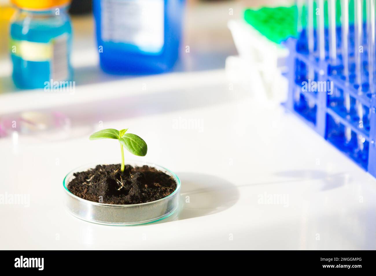 Nature and discovery hi-res stock photography and images - Alamy