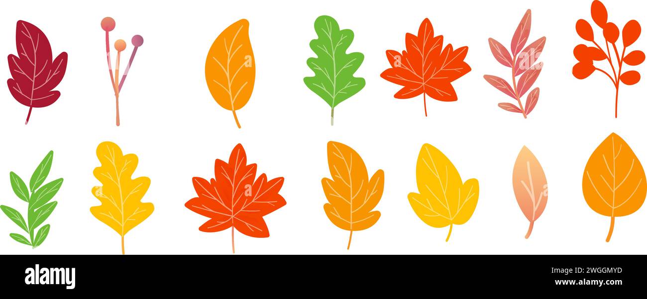 Autumn leaves set. Simple cartoon flat style. Vector Stock Vector Image ...