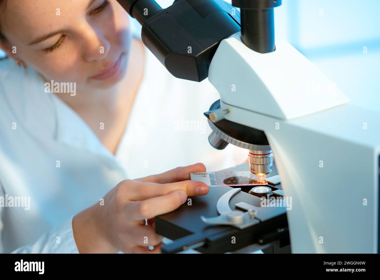 Study of biological interactions: Microscopy allows observing ...