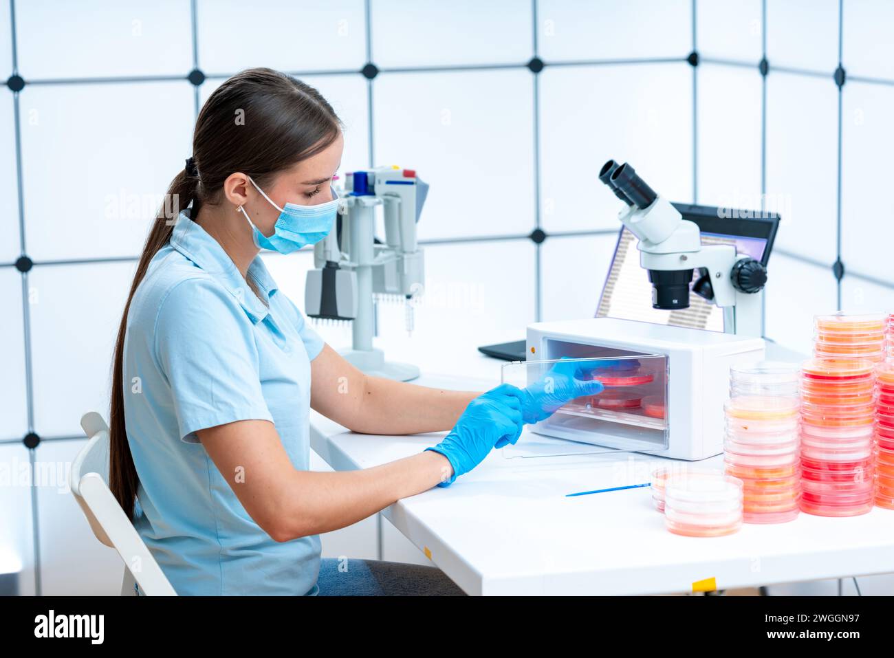 Genetic evolution studies: Petri dishes are used in genetic evolution ...