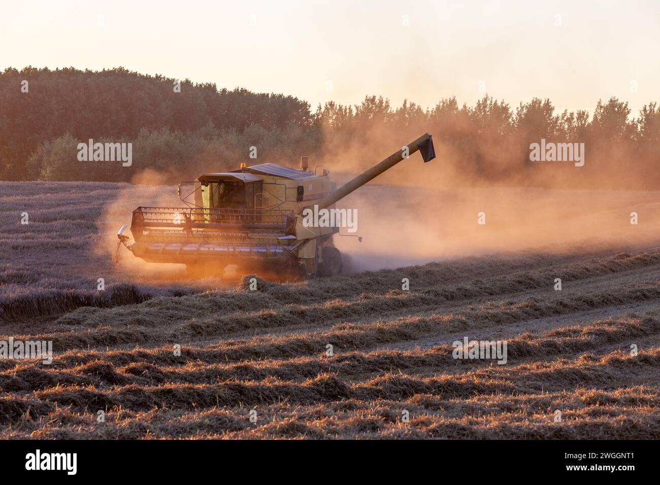 Dust harvester hi-res stock photography and images - Alamy