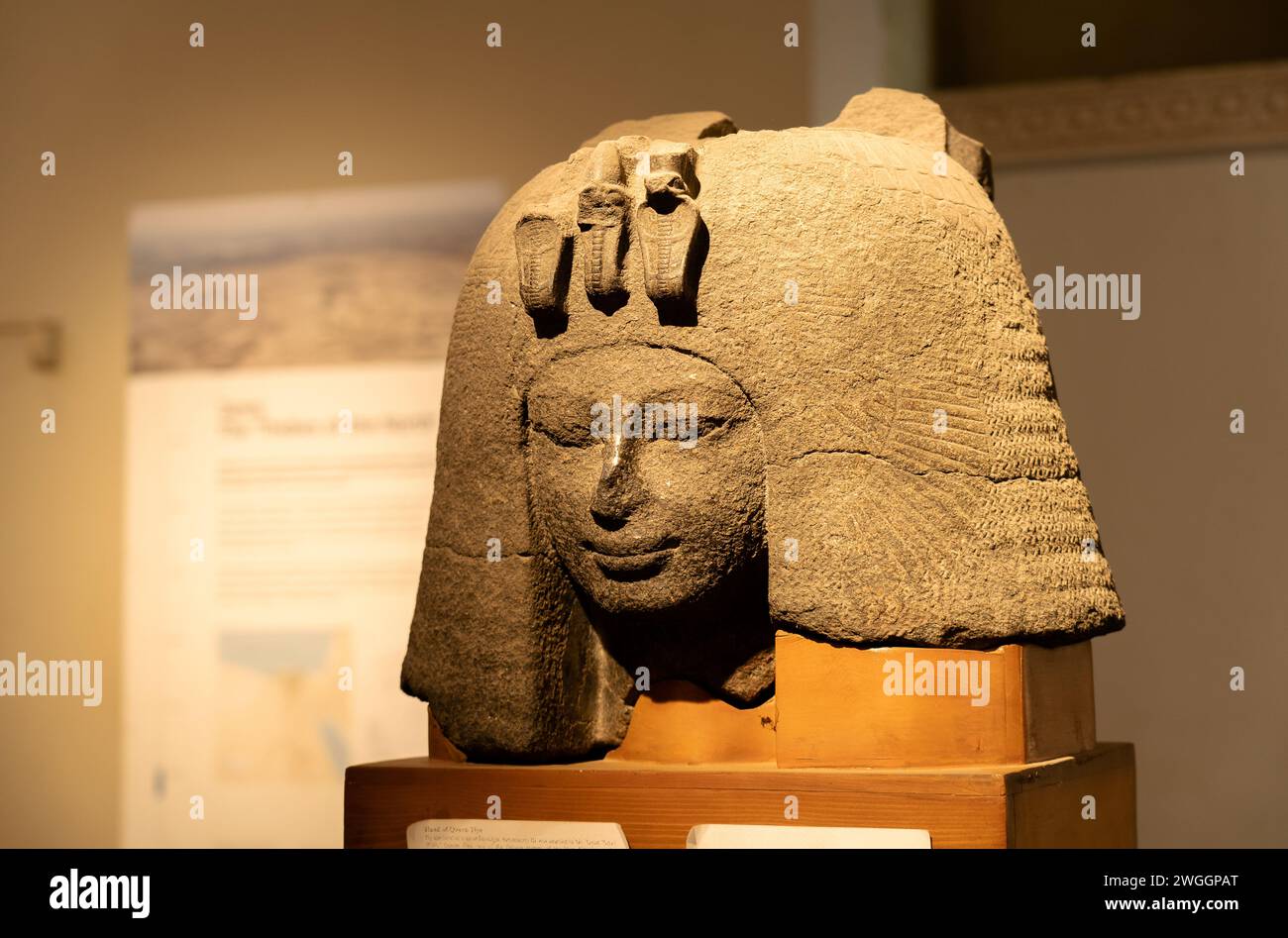 Queen Tiya - mother of Akhenaten Stock Photo - Alamy