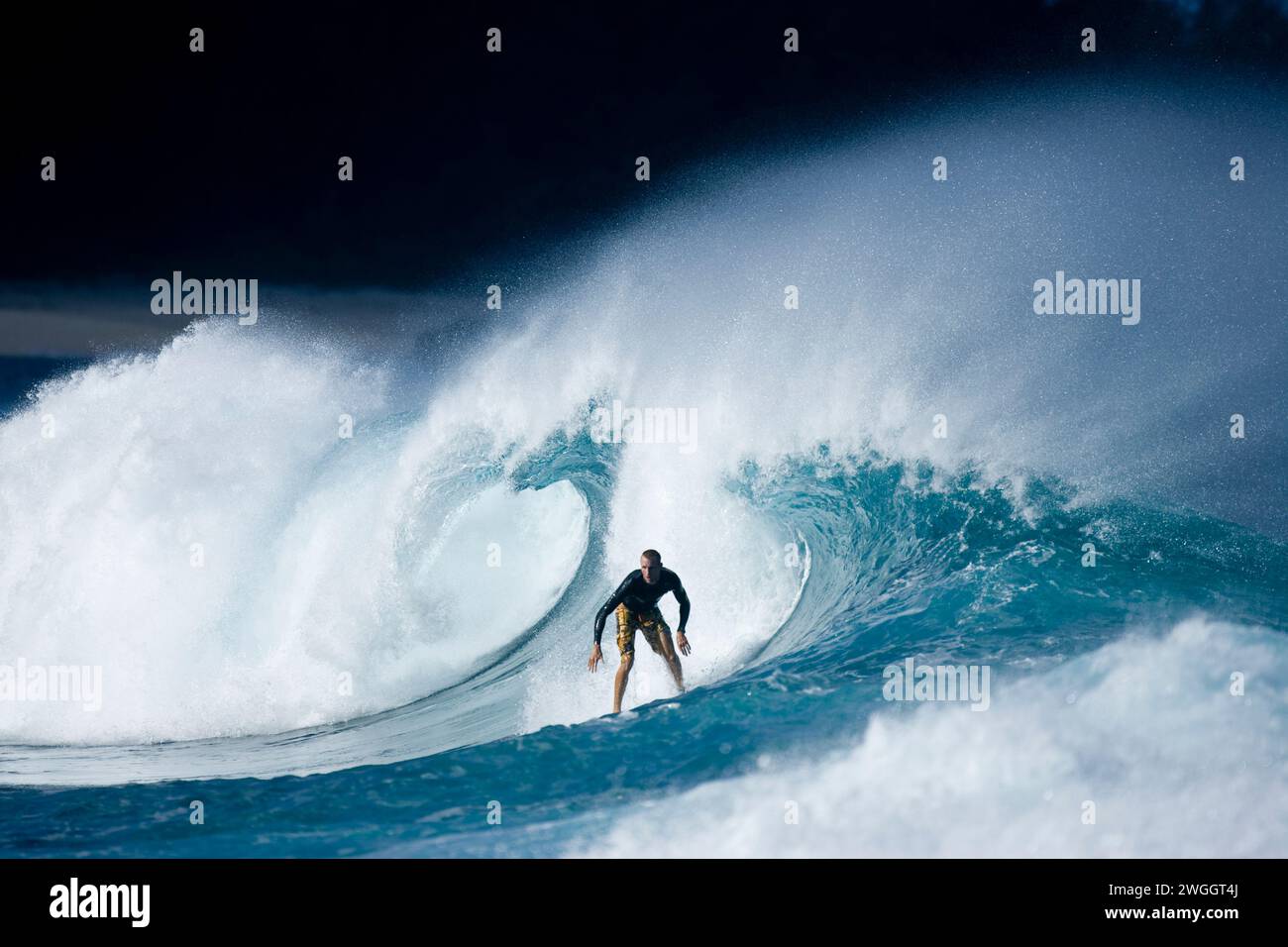 Adult turtle silhouette hi-res stock photography and images - Alamy
