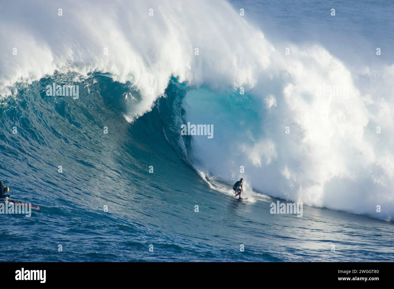 big wave surfing at Jaws, Hawaii Stock Photo - Alamy