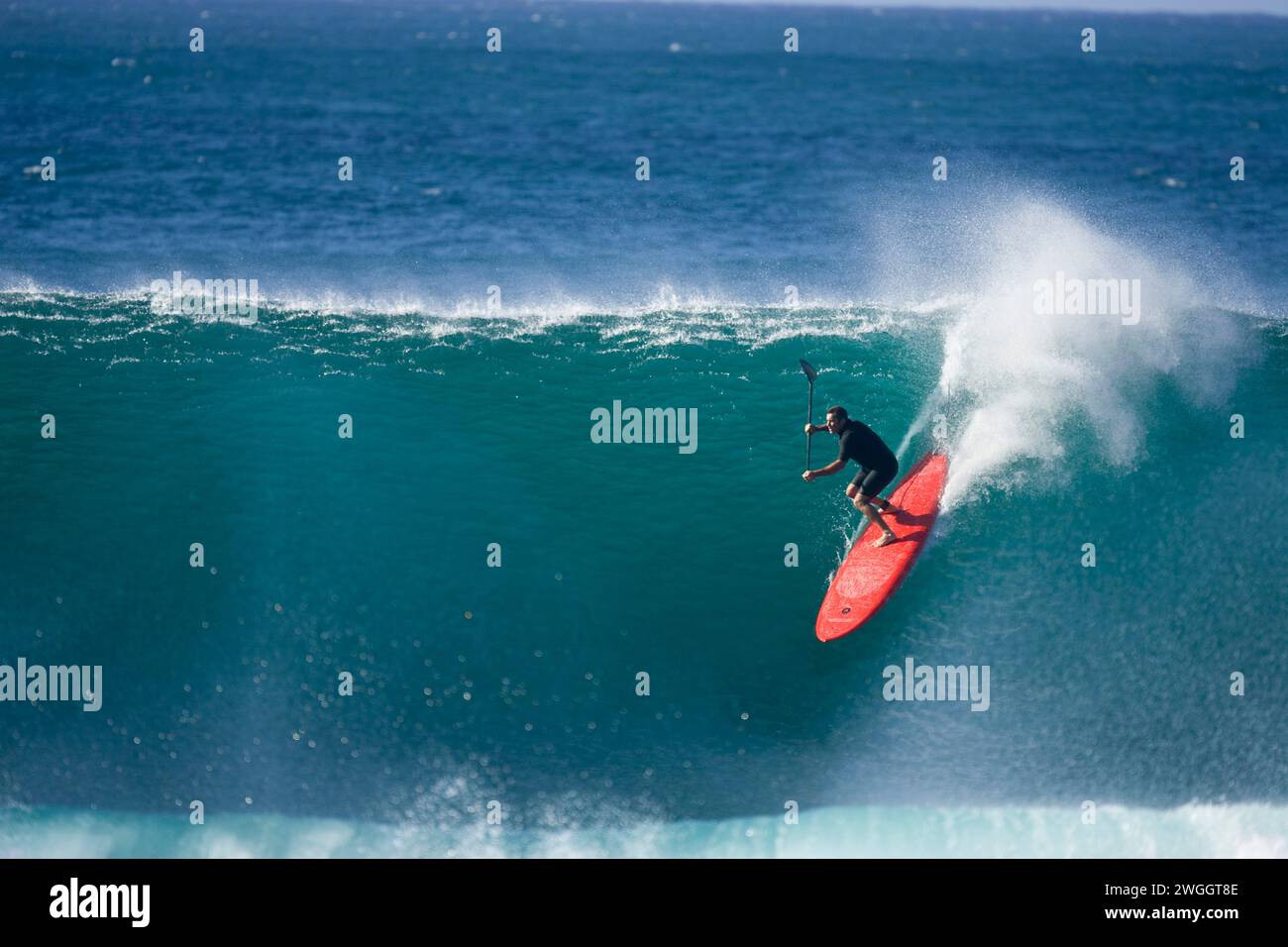 Surfing at Backdoor-Pipeline on the north shore, 02.12.08 Stock Photo ...