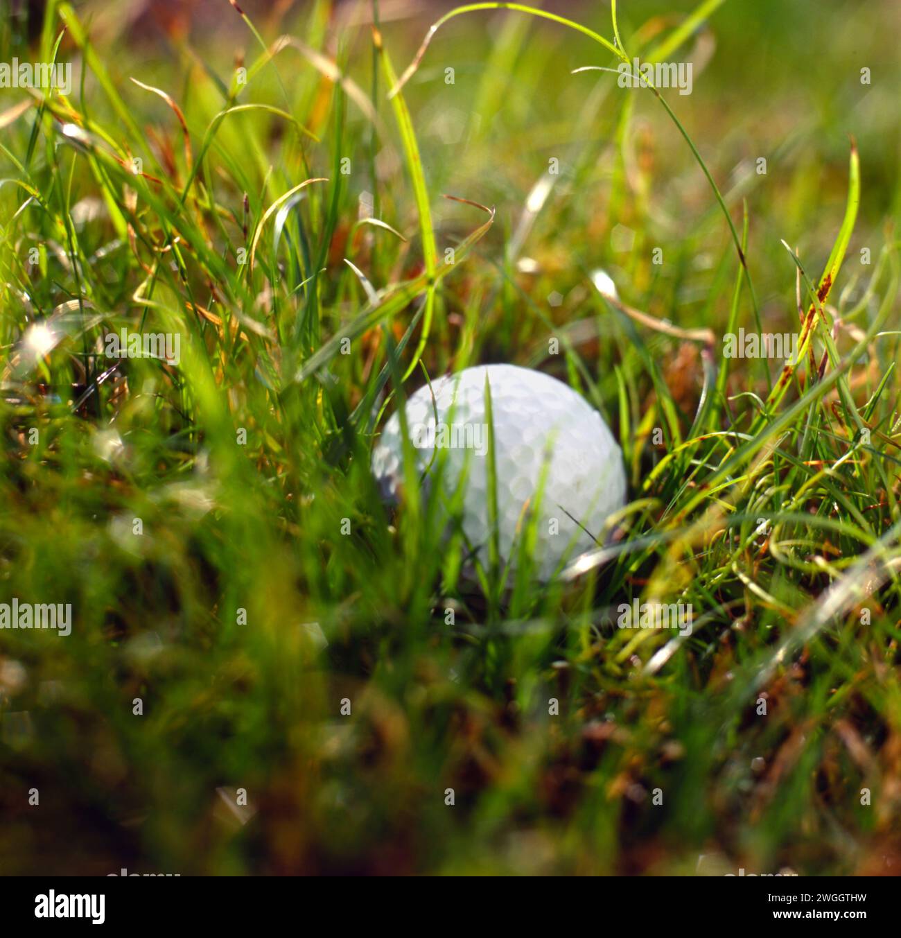Ball in the grass hi-res stock photography and images - Alamy