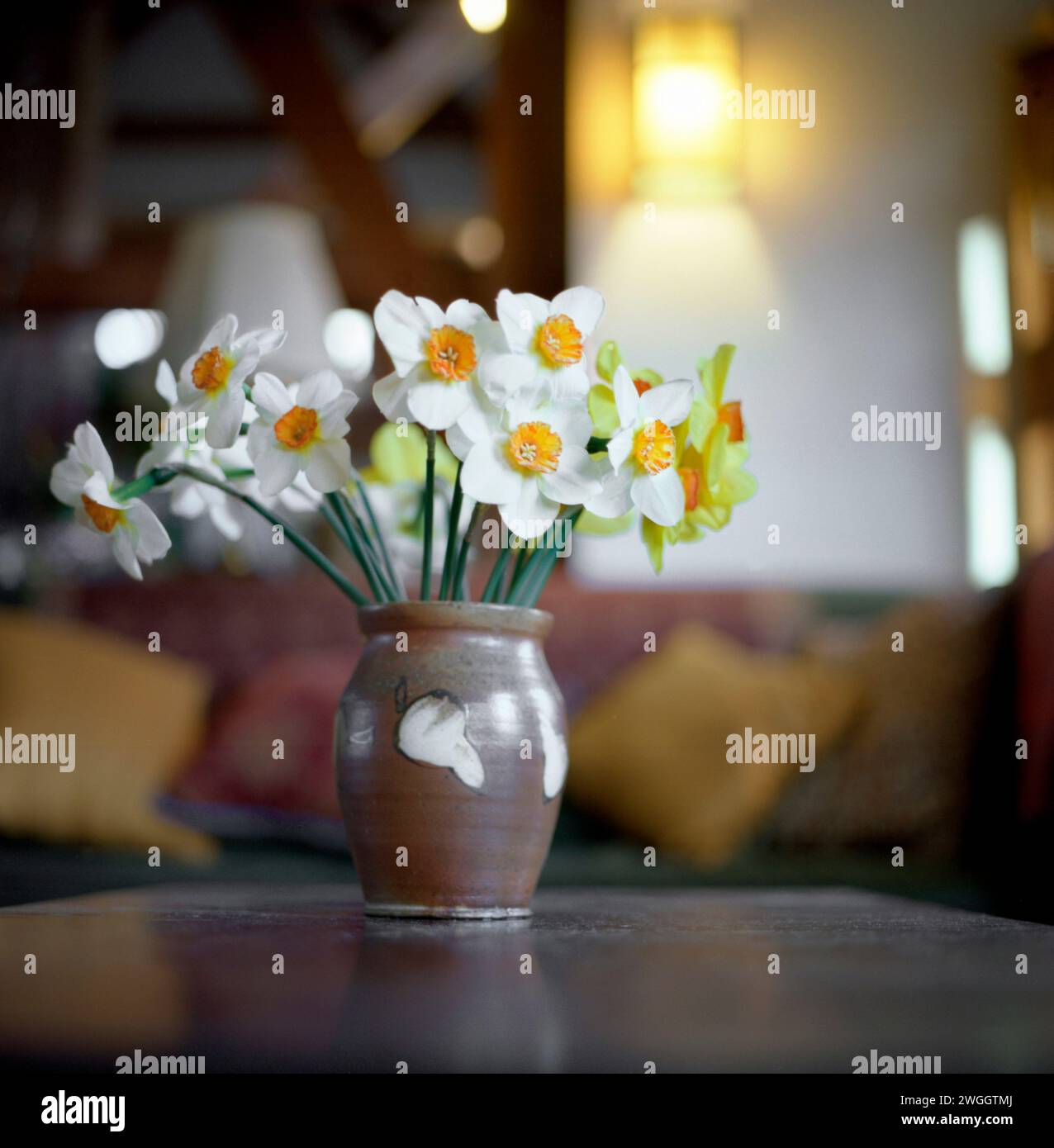 Daffodils in home hi-res stock photography and images - Alamy