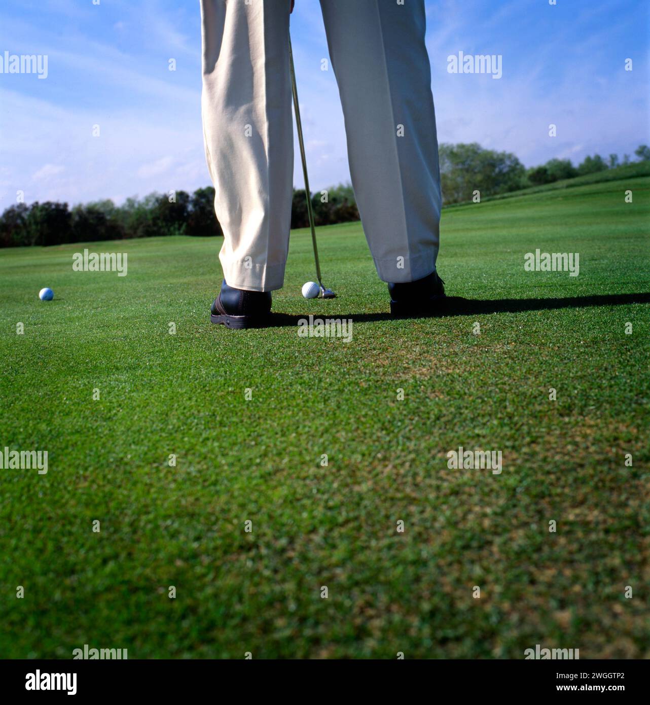 Back view of man on golf course - putting on the green Stock Photo - Alamy