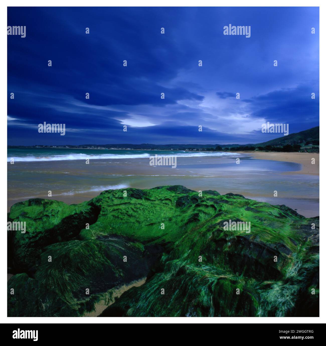 Victoria bay Cut Out Stock Images & Pictures - Alamy