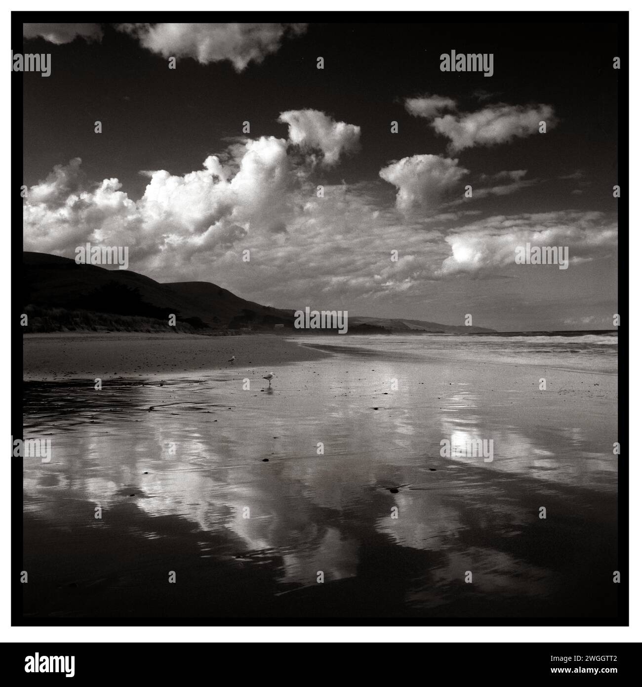 Victoria bay Cut Out Stock Images & Pictures - Alamy