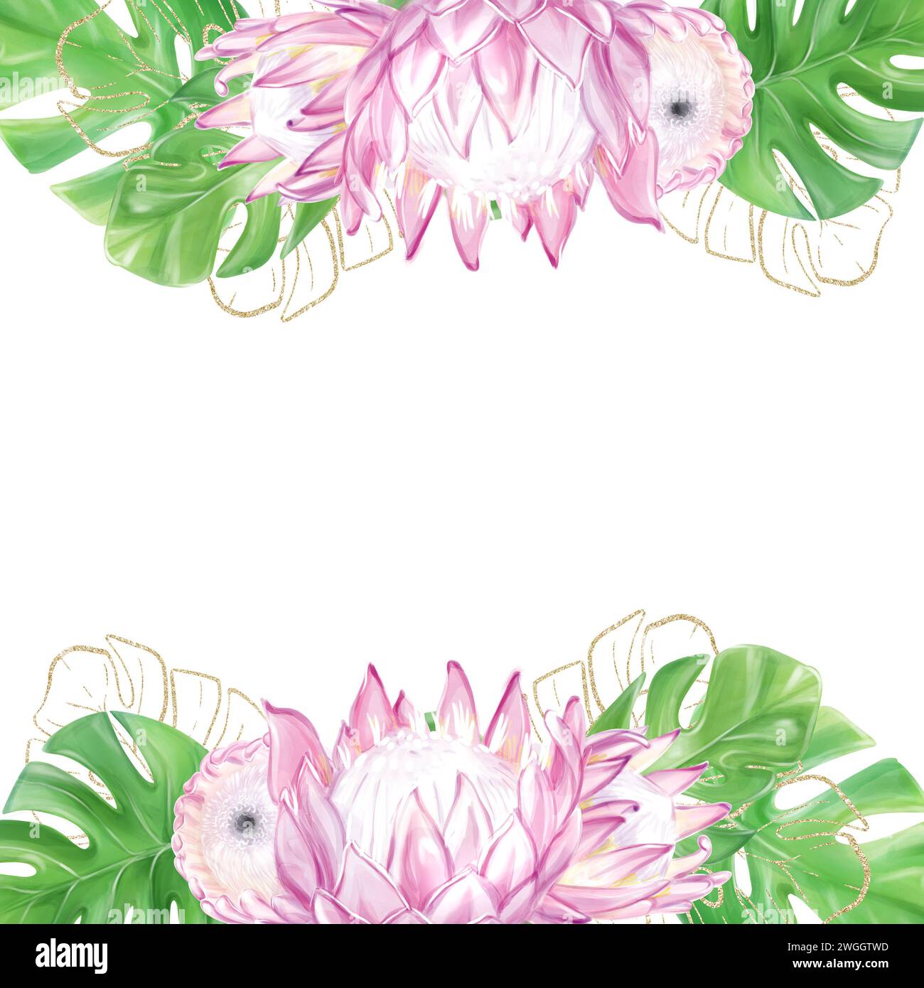 Tropical frame, banner, template. Monstera leaves with protea pink ...