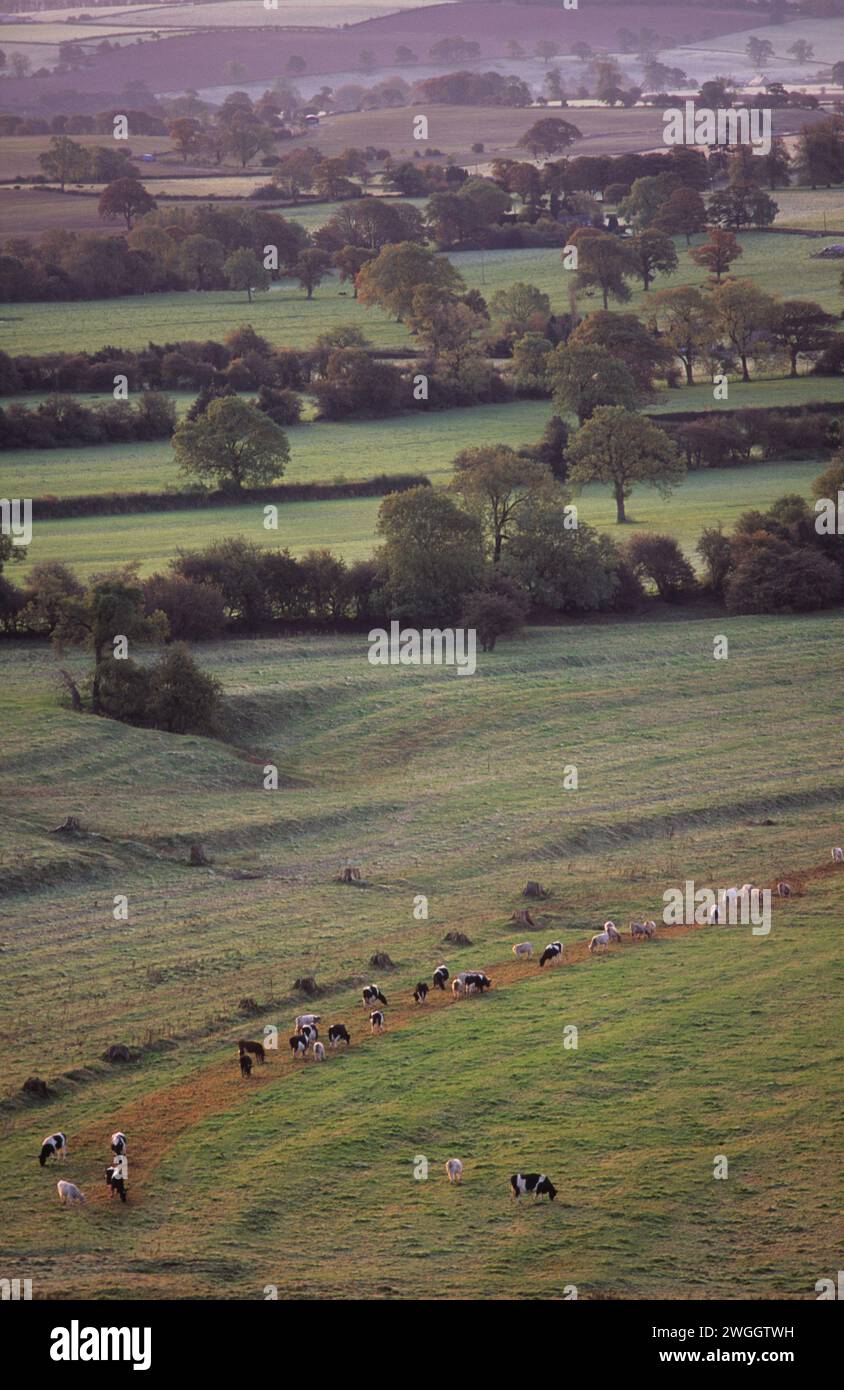 English countysdie hi-res stock photography and images - Alamy