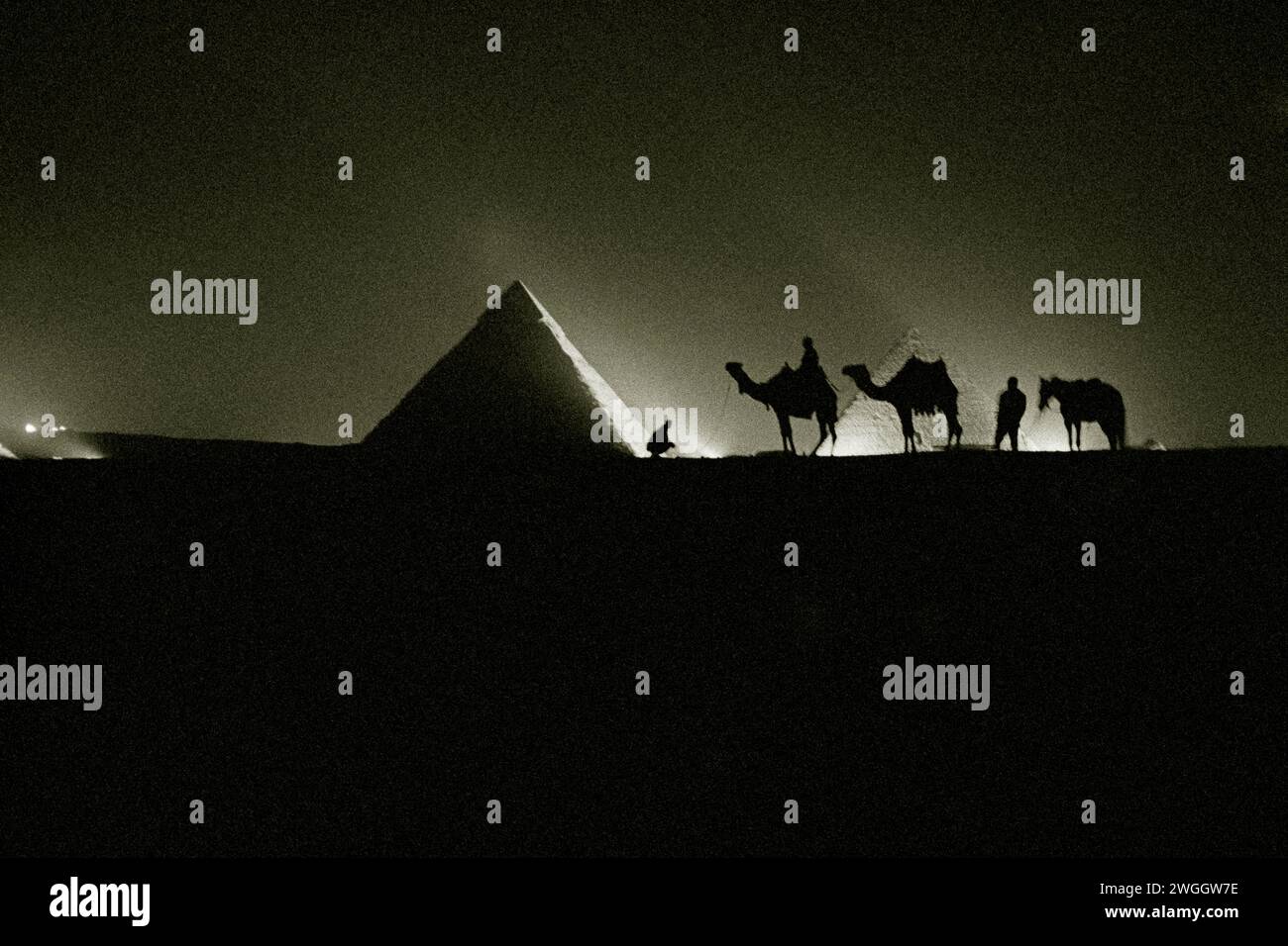 Camel silhouette pyramids hi-res stock photography and images - Alamy
