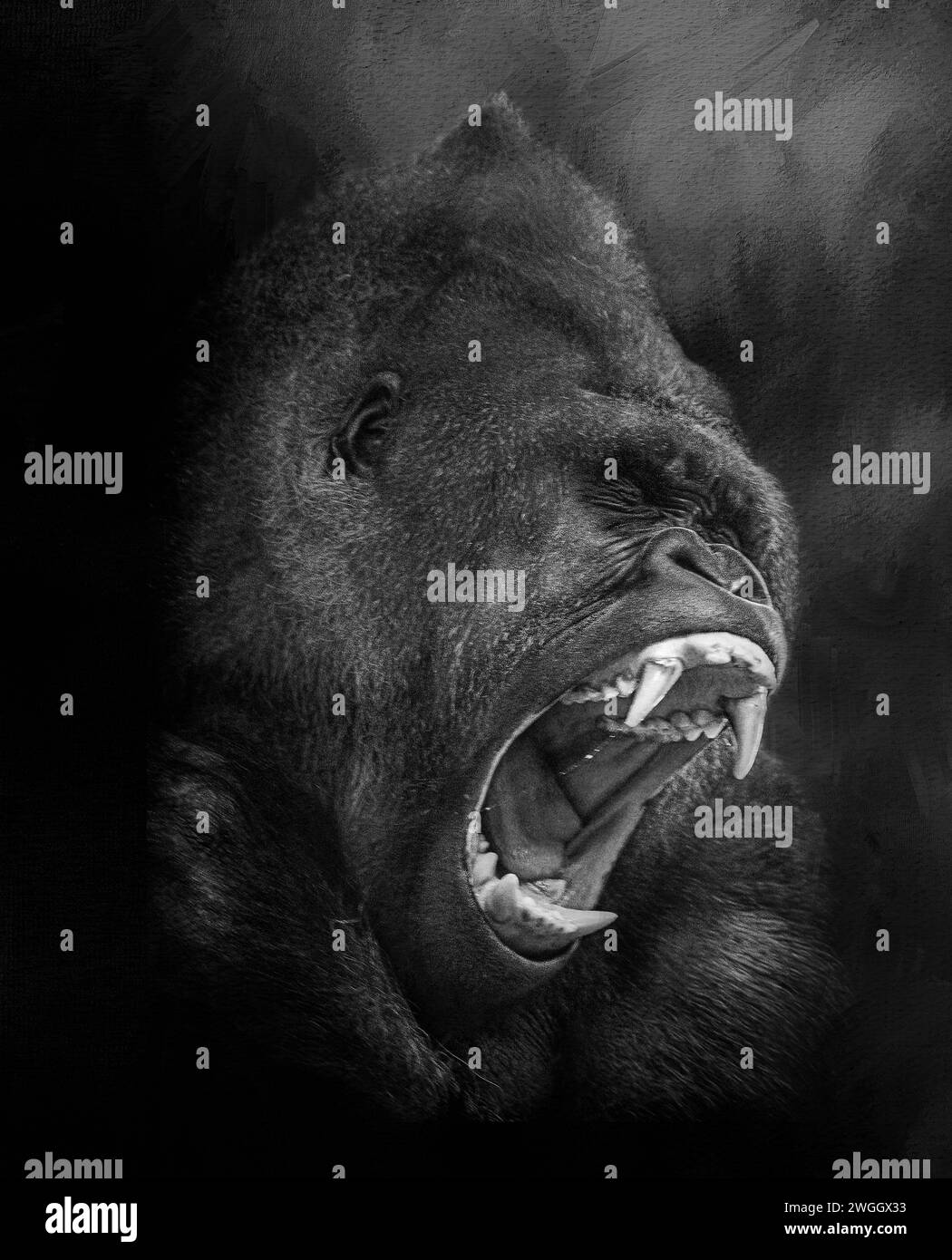 Certainly Black and White Stock Photos & Images - Alamy