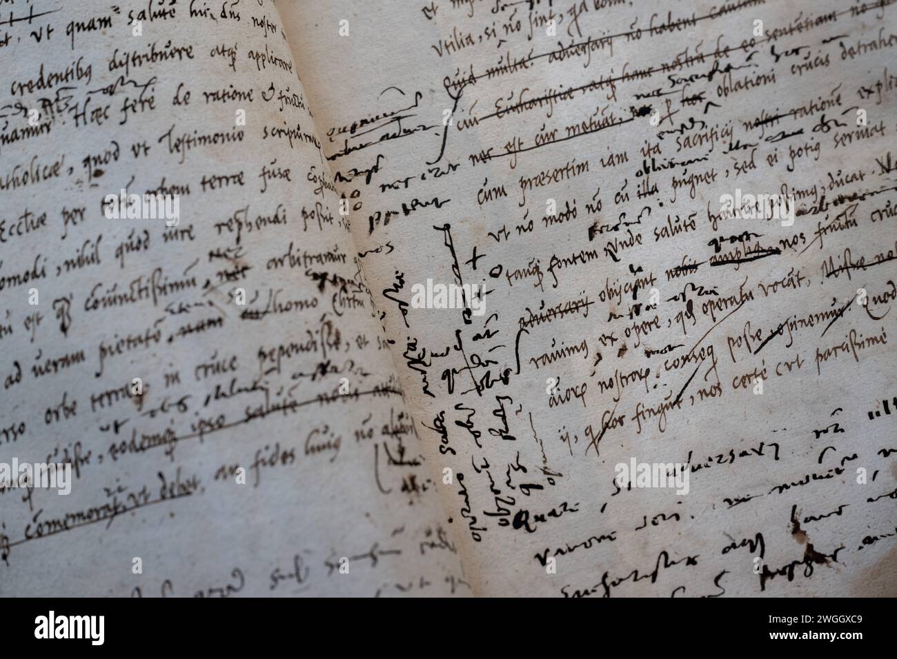 Manuscript conservation hi-res stock photography and images - Alamy