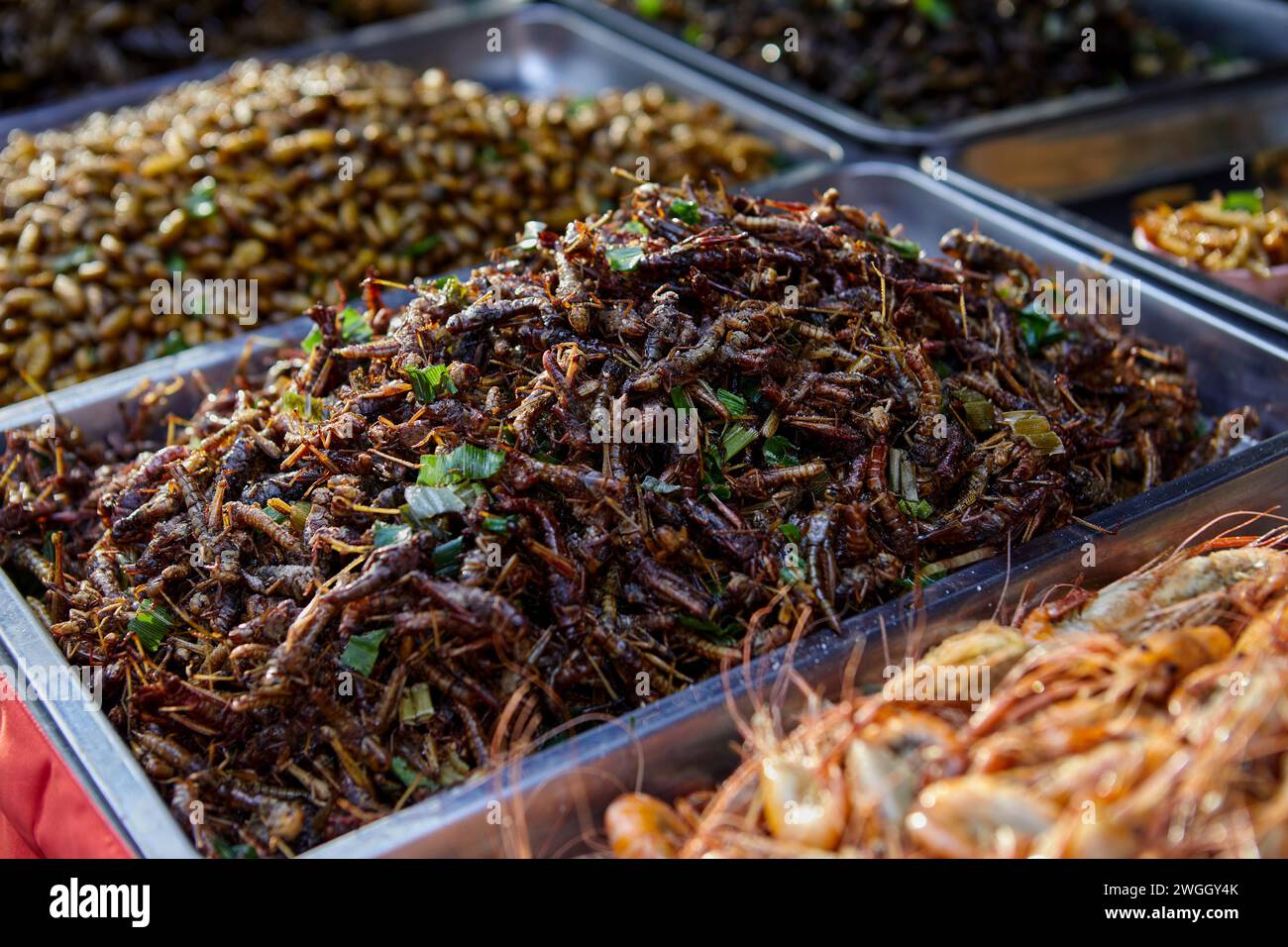 Many kind of deep fried insect for sale at street market Stock Photo ...
