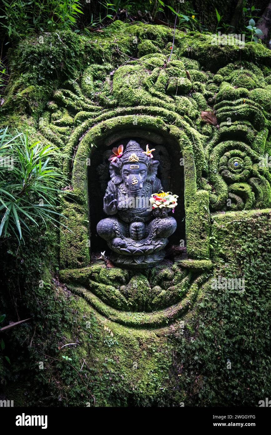 Black statue of Ganesha, in niche carved on rock covered with moss ...