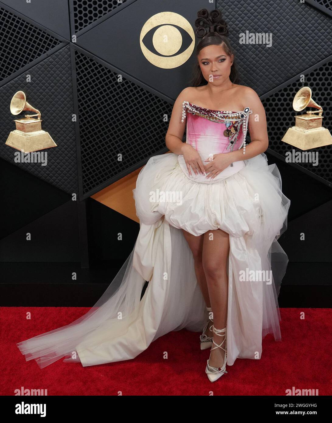 Los Angeles, USA. 04th Feb, 2024. Eryn Allen Kane arrives at the 66th ...