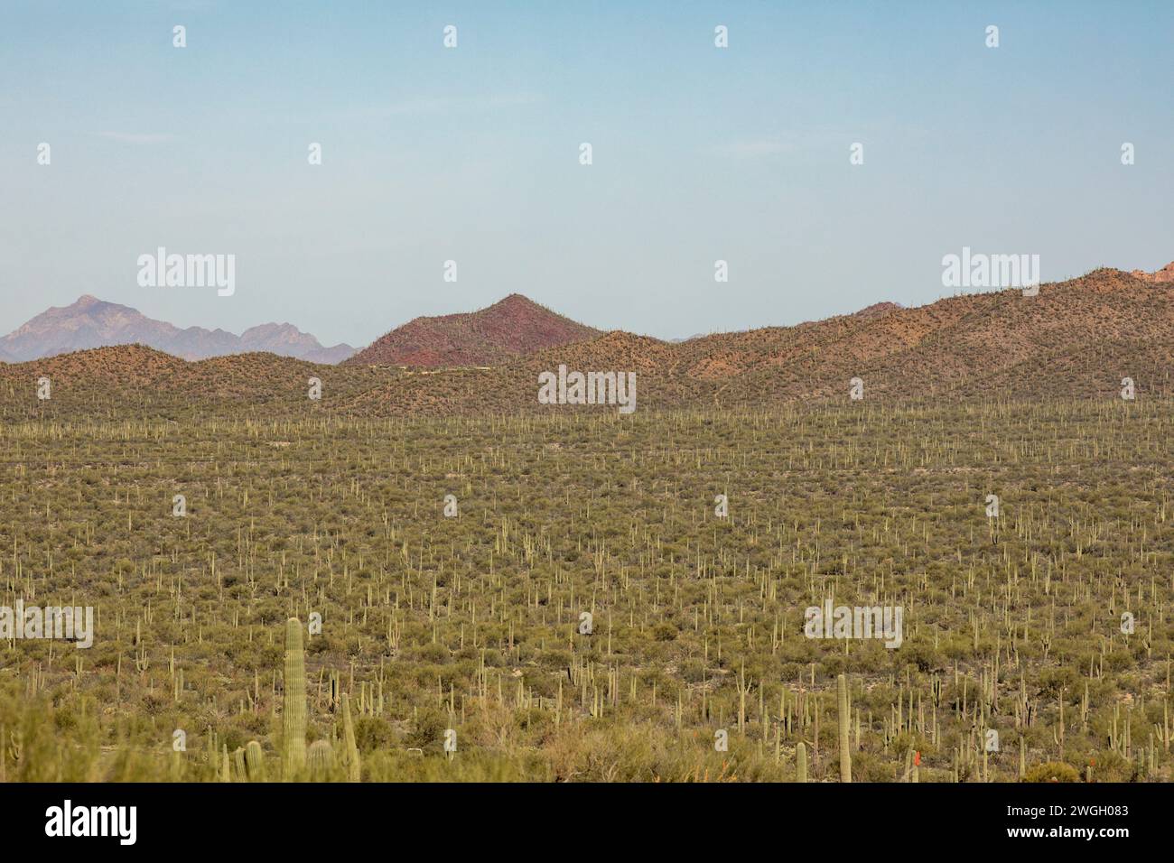 View overlooking vast open expanse of desert lanscape Stock Photo - Alamy