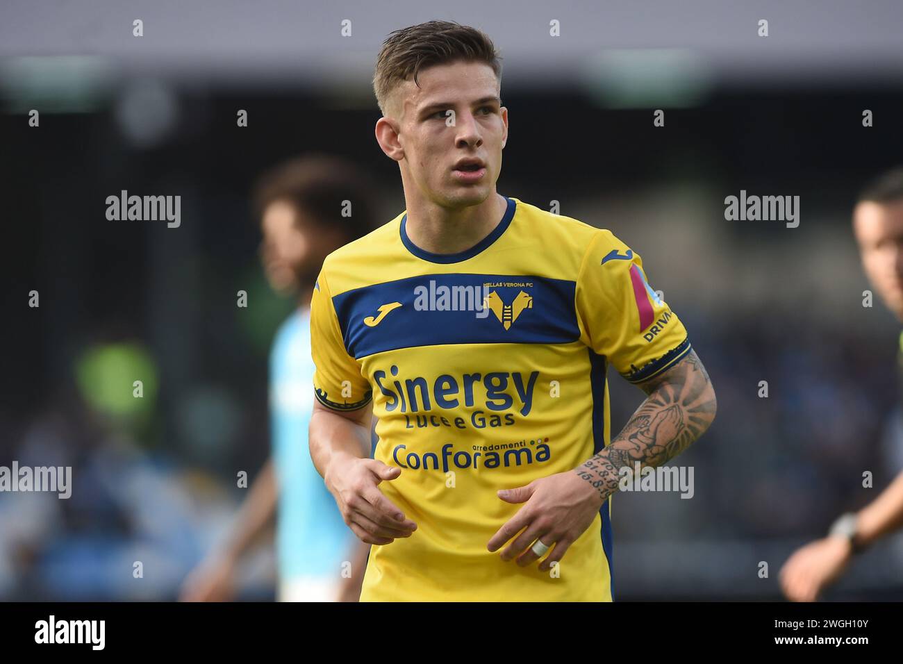 Suslov hi-res stock photography and images - Alamy