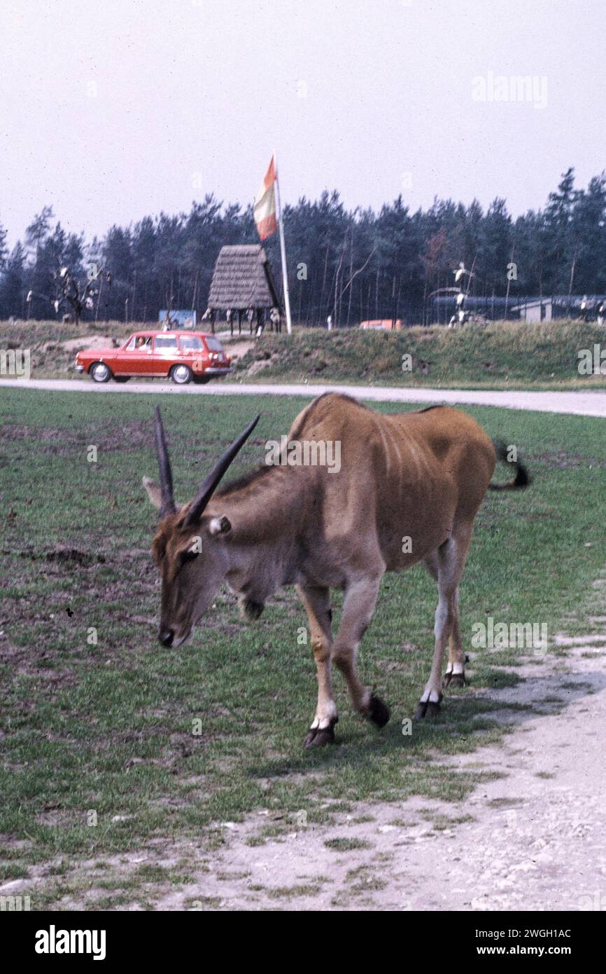 Safari Park Stukenbrock Unfall