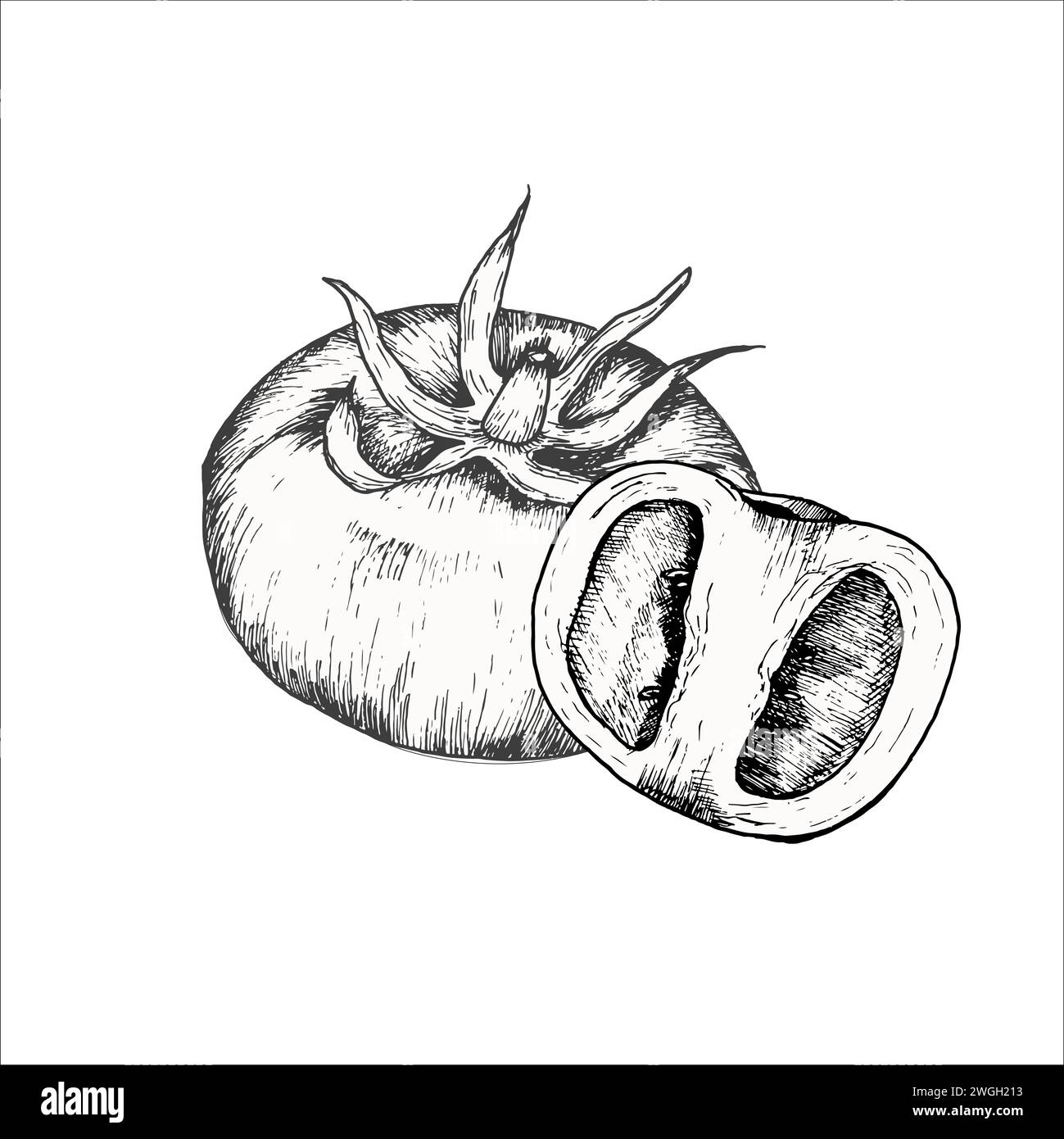 Healthy Food Vector Illustration Hand Drawn Line Art Style Of Organic Food Composition With