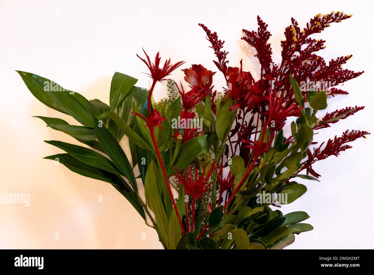 Red chrysanthemum flowers in vase hi-res stock photography and images ...