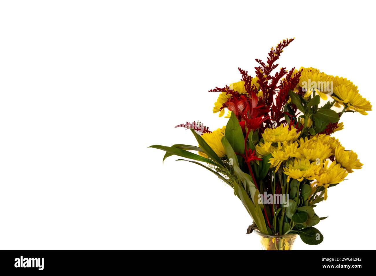 Yellow and red spring bouquet of flowers on a light background Stock ...