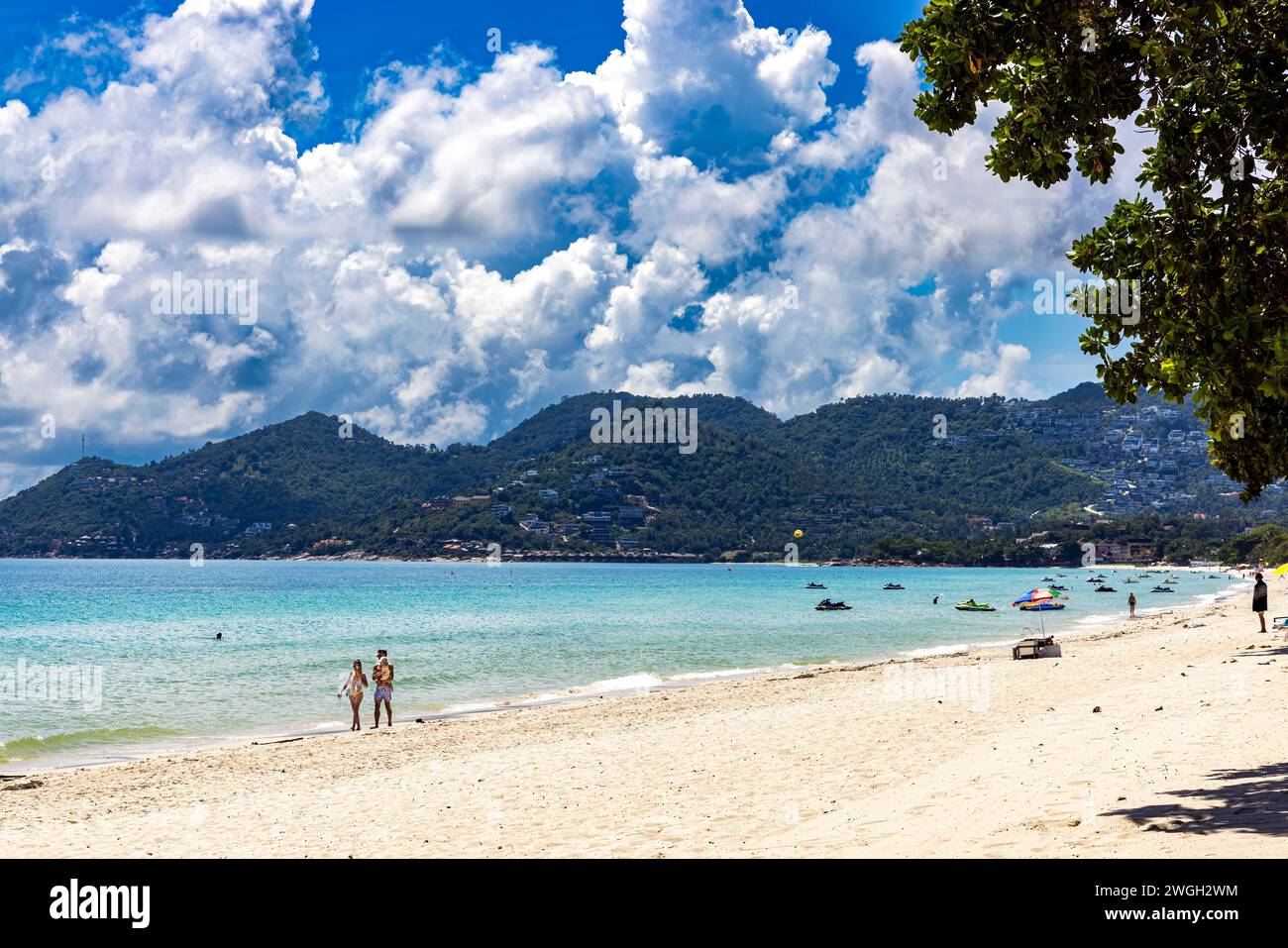 Family walking on Chaweng beach, Ko Samui, Thailand Stock Photo - Alamy