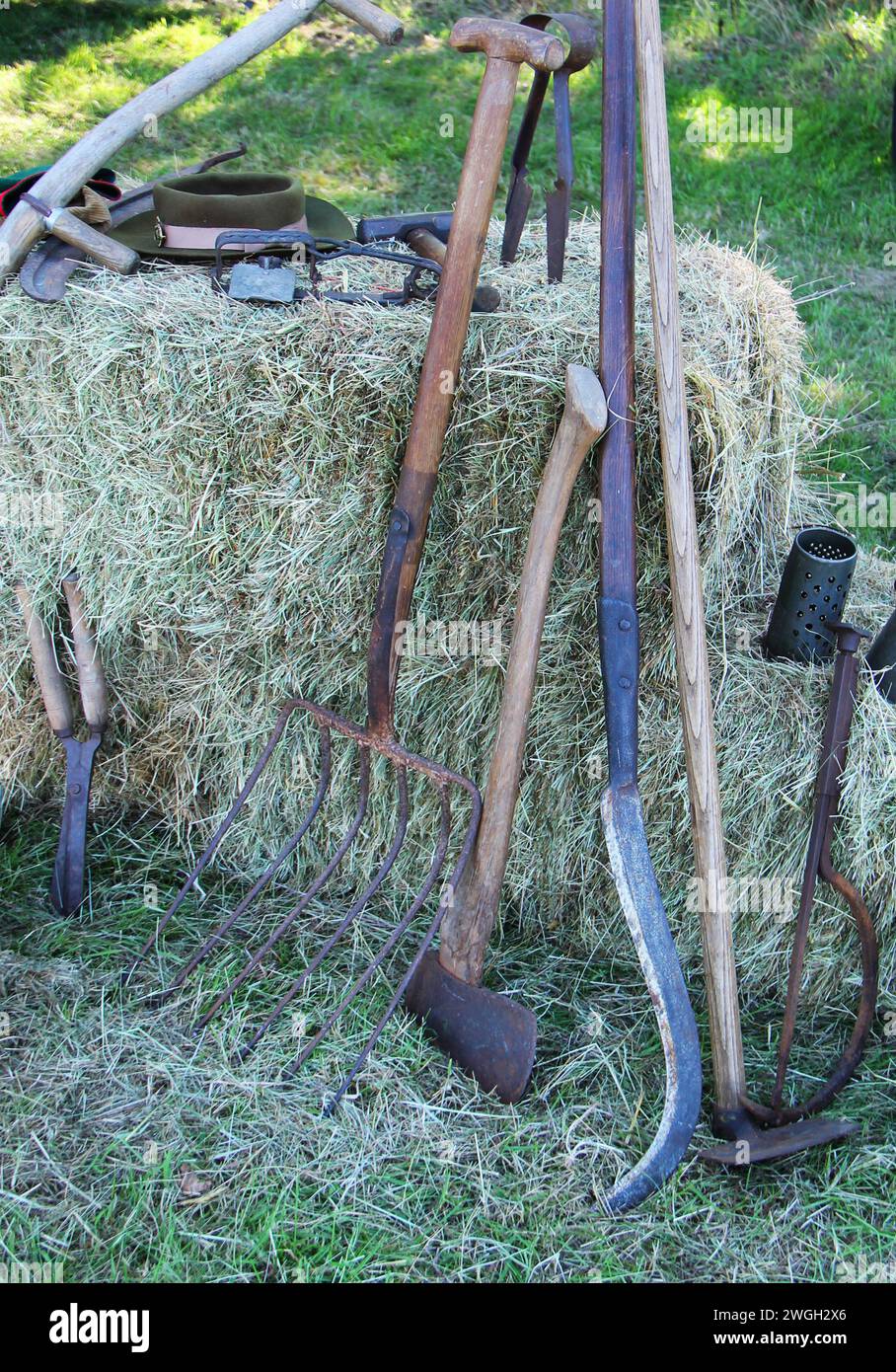 Gardening Potting Tools and Trays in a Poly Tunnel Stock Photo - Alamy
