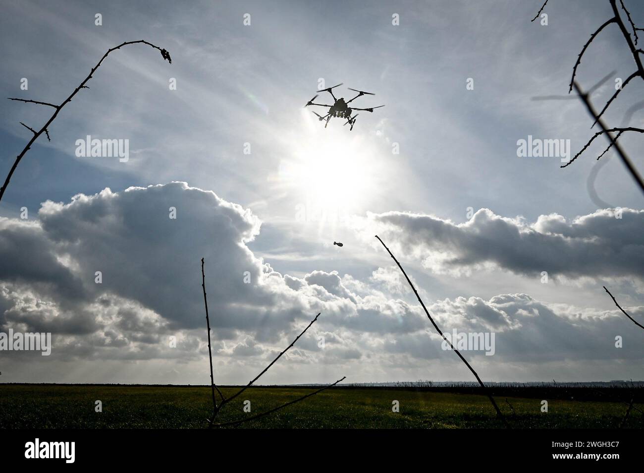 Non Exclusive: ZAPORIZHZHIA, UKRAINE - FEBRUARY 2, 2024 - A Vampire ...