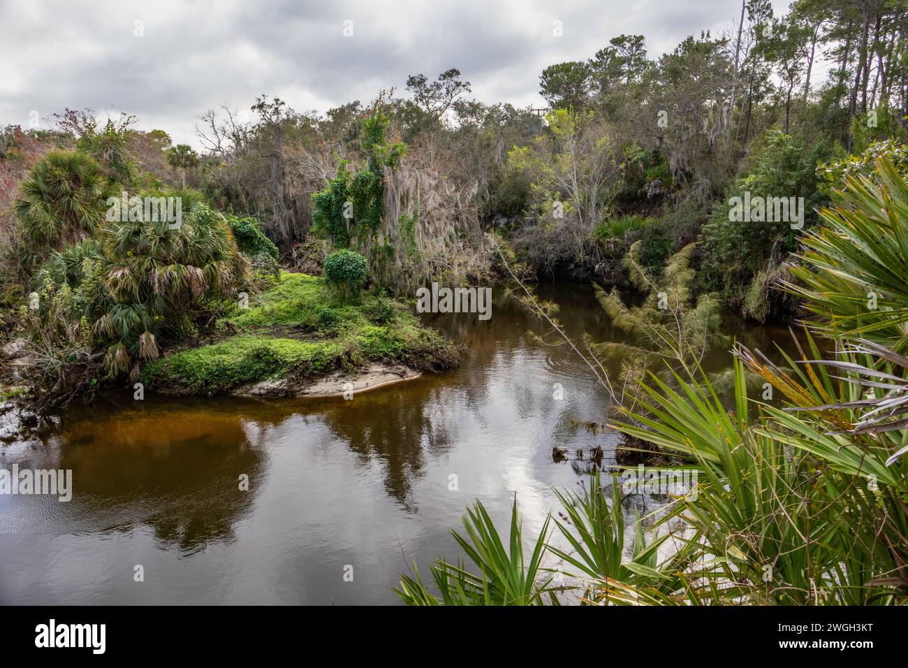 Turkey creek sanctuary Stock Photo - Alamy