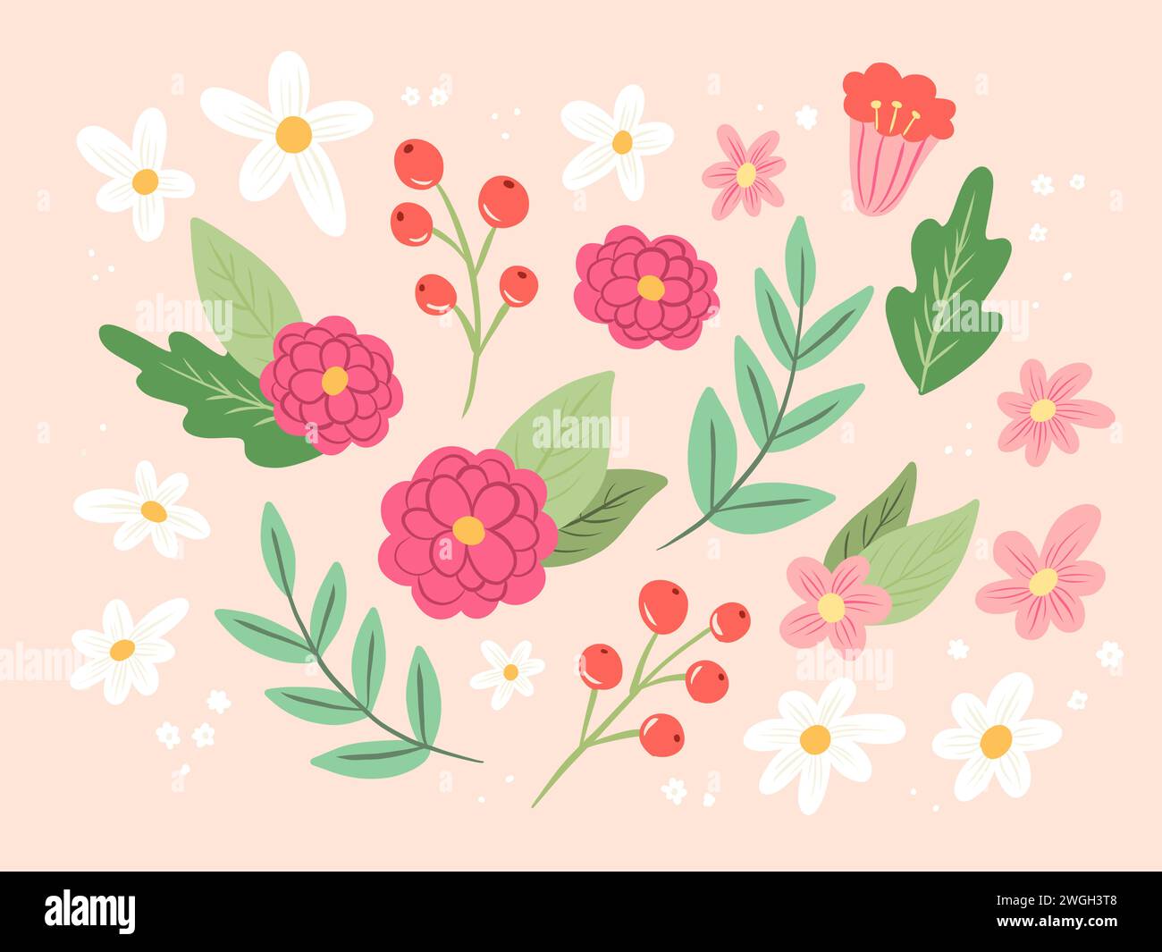 Flower collection with leaves, spring flowers, botanical elements. Hand ...