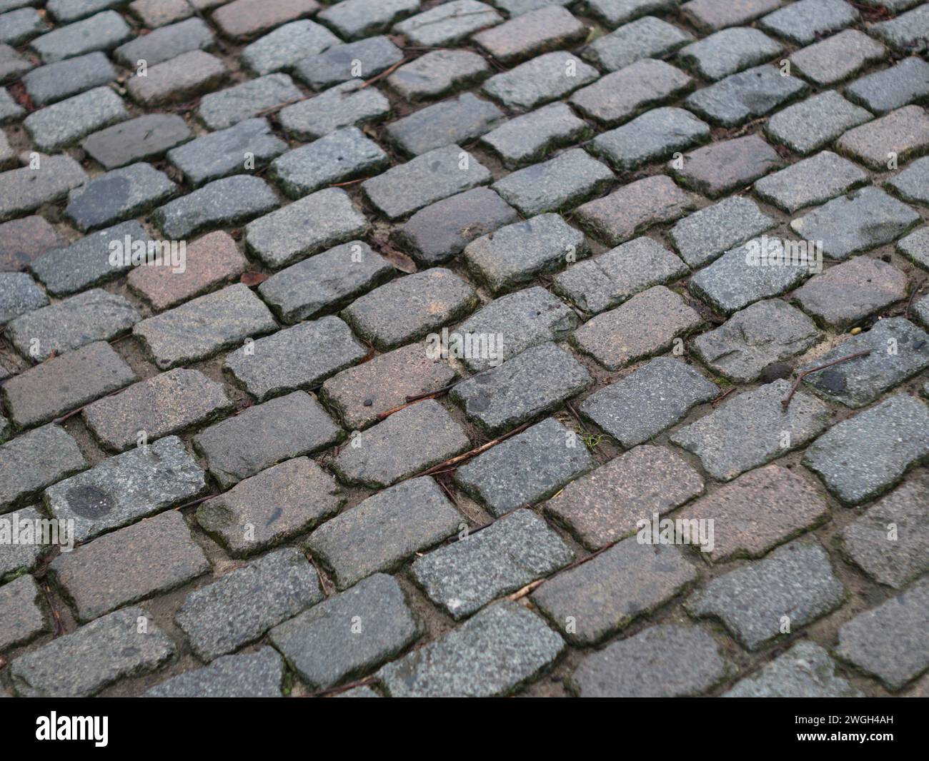 Heterogeneous paving stones hi-res stock photography and images - Alamy