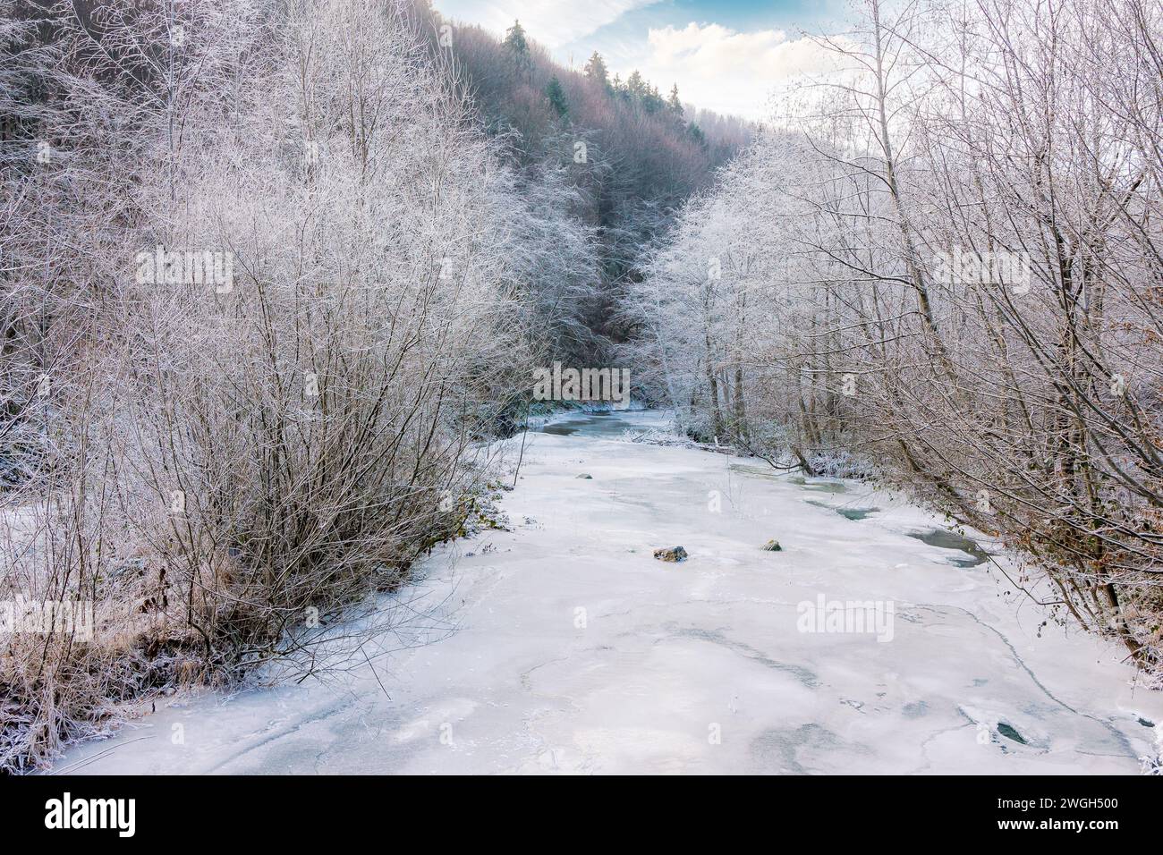 River among trees hi-res stock photography and images - Alamy