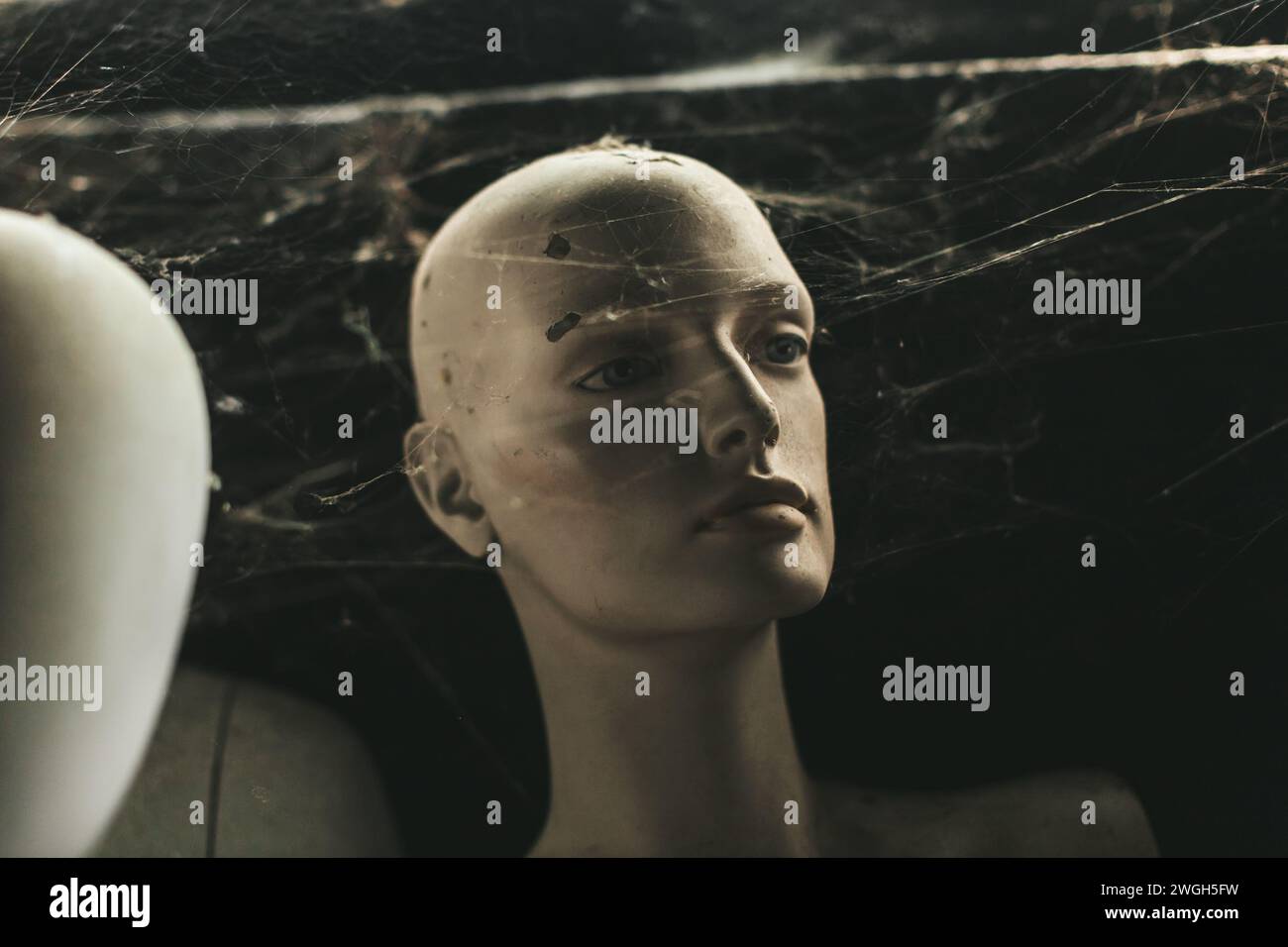 Old mannequin hi-res stock photography and images - Alamy