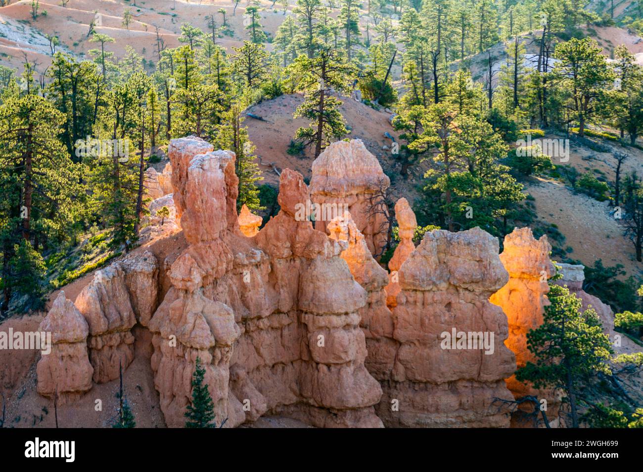 beautiful landscape in Bryce Canyon with magnificent Stone formation ...